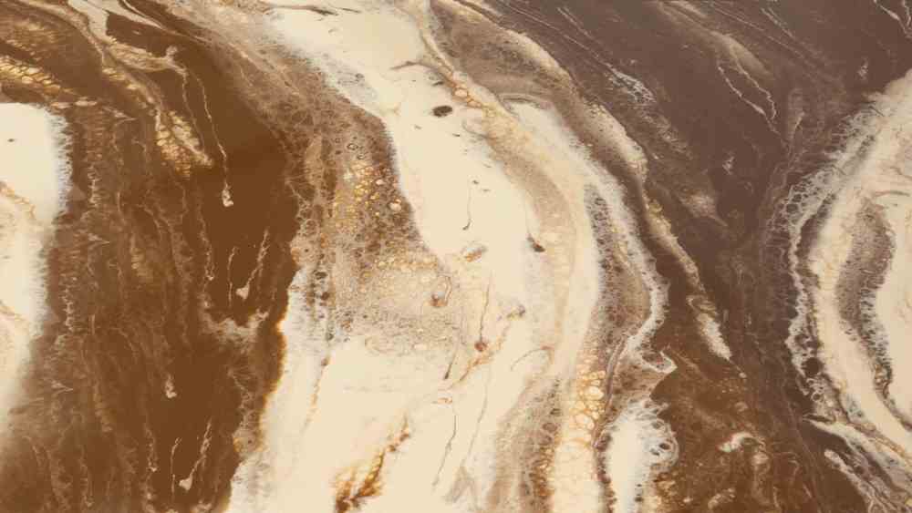 Leggari Exotics Kit #8 – Leggari Products